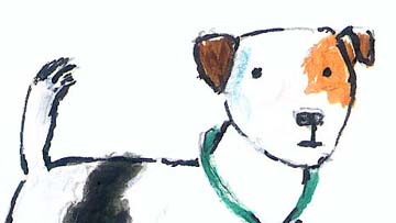 10 waanzinnige weetjes over honden - Jozua Douglas